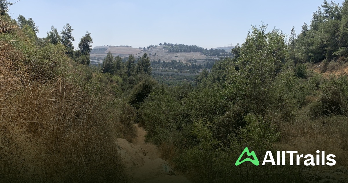 Western Wall Observation Point - hikes and trails to get you there ...