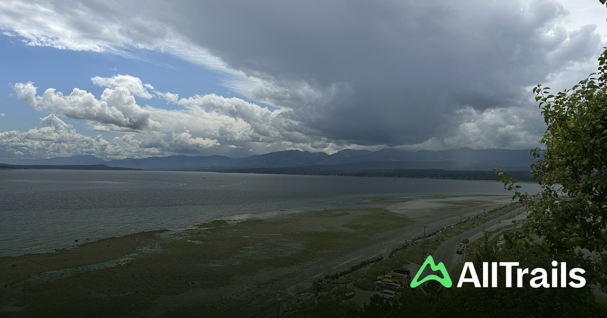 De beste stiene i nærheten av Willemar Bluff | AllTrails