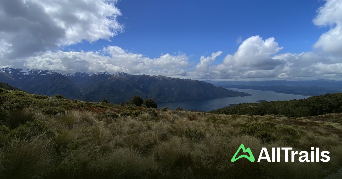 Kepler Track Shelter - hikes and trails to get you there | AllTrails