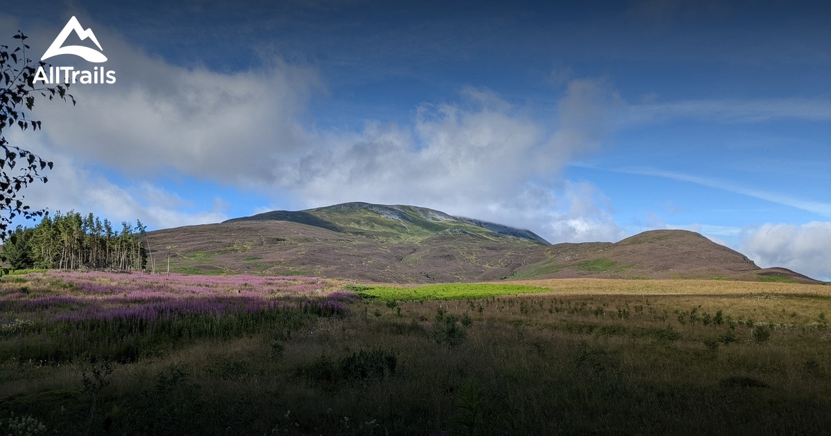 Schiehallion - hikes and trails to get you there | AllTrails