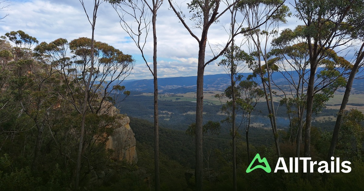 Mount Blackheath Lookout - hikes and trails to get you there | AllTrails