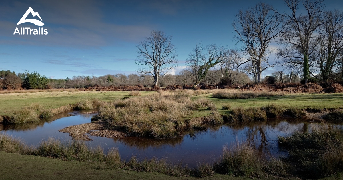 10 Best trails near Brock Hill | AllTrails