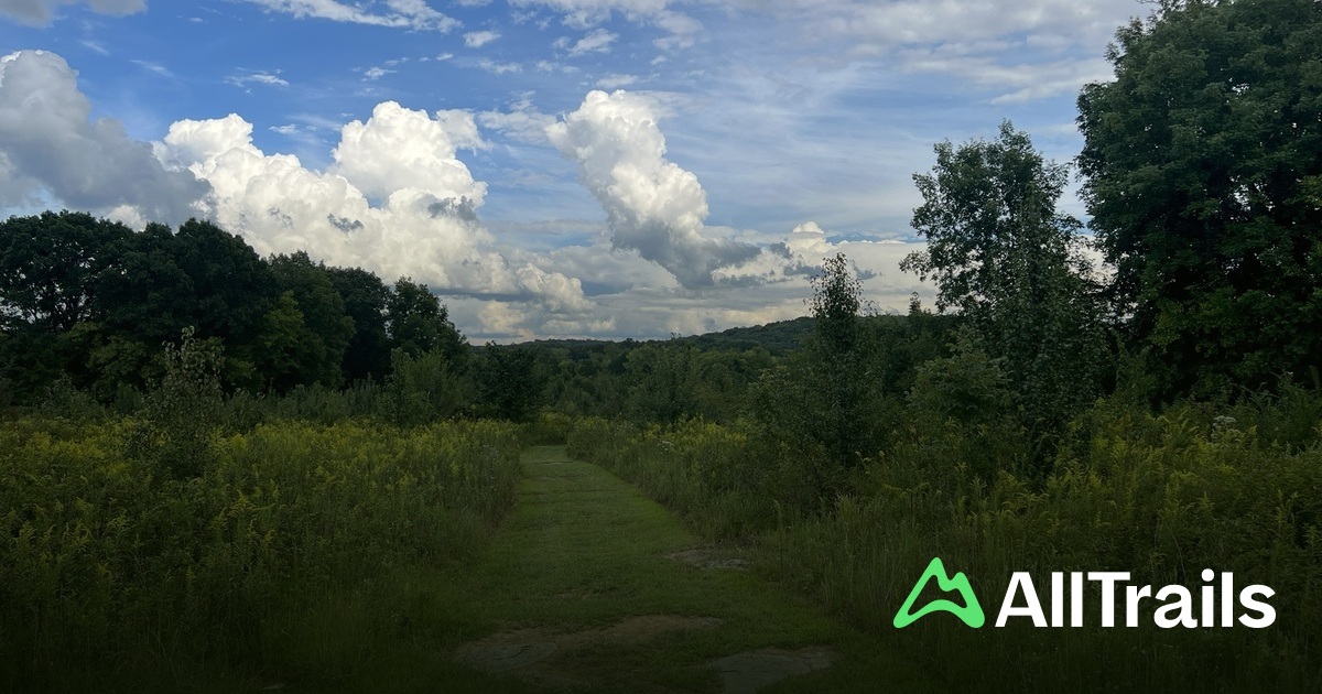 Beste routes in de buurt van Cedars of Lebanon Picnic Area | AllTrails