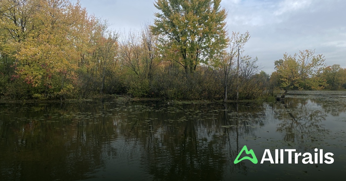 Britannia Bay - hikes and trails to get you there | AllTrails