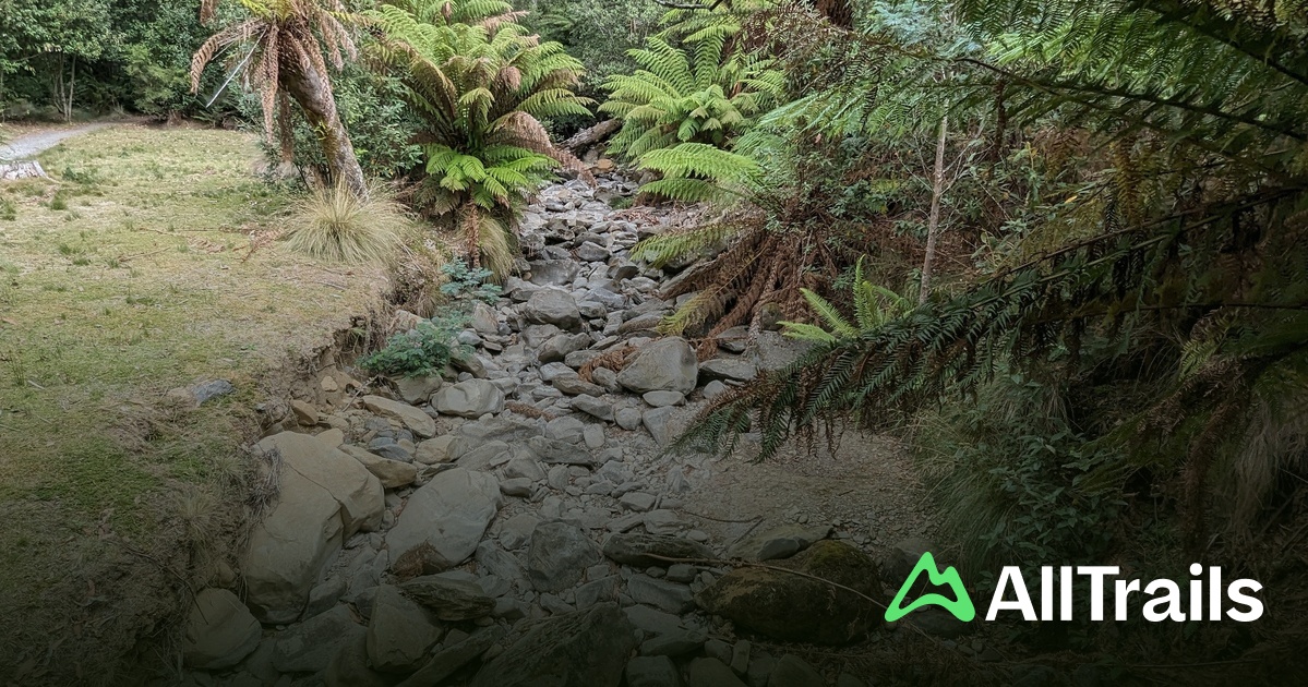 Marakoopa Cave - hikes and trails to get you there | AllTrails