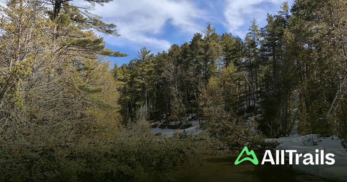 Pine Bluff Campground - hikes and trails to get you there | AllTrails