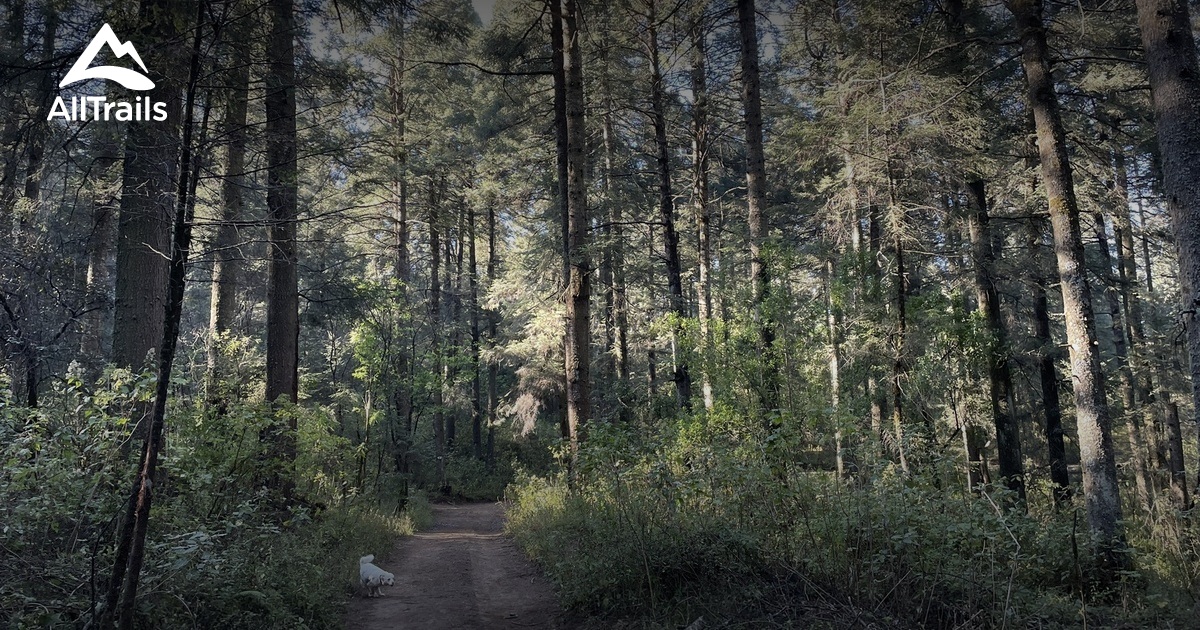 Cerro las Gallinas - hikes and trails to get you there | AllTrails