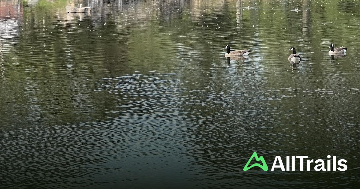 Los mejores senderos cerca de Town Hall Pond | AllTrails