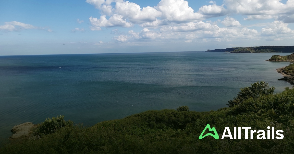 Blue Dolphin Holiday Park - hikes and trails to get you there | AllTrails
