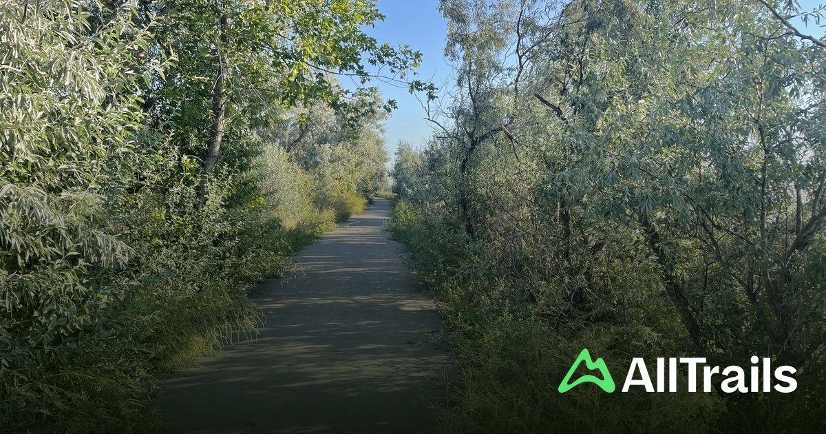 Kinbrook Island Provincial Park Campground - hikes and trails to get ...