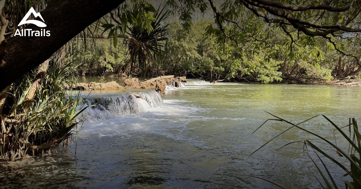 Mataranka Falls - hikes and trails to get you there | AllTrails