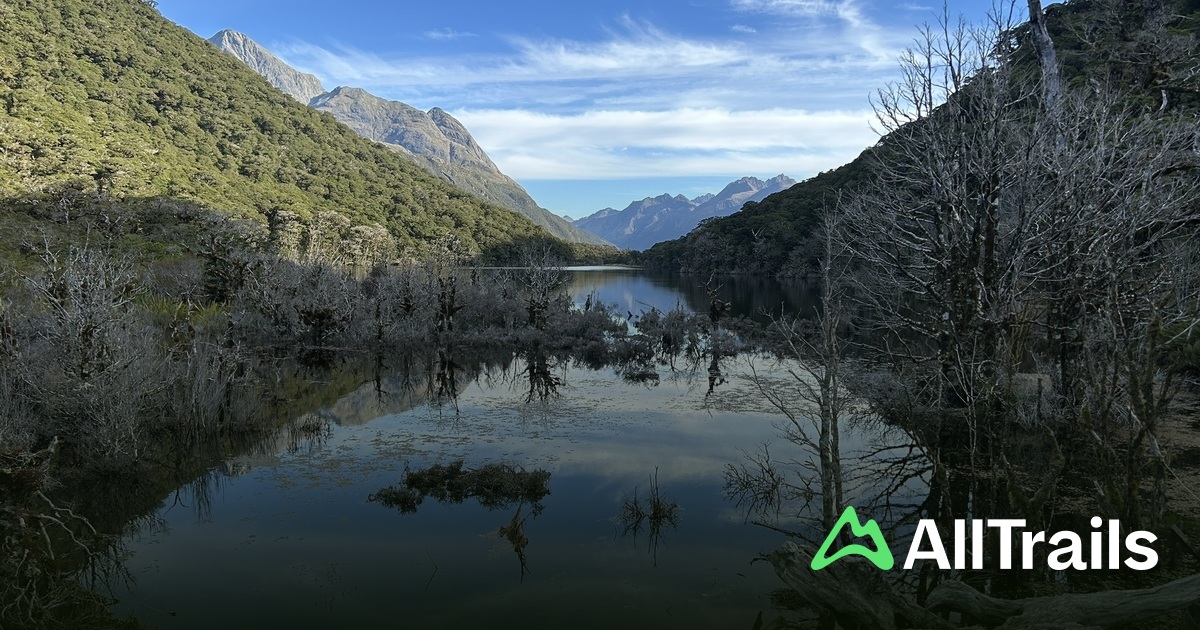 Greenstone Saddle Campsite - hikes and trails to get you there | AllTrails