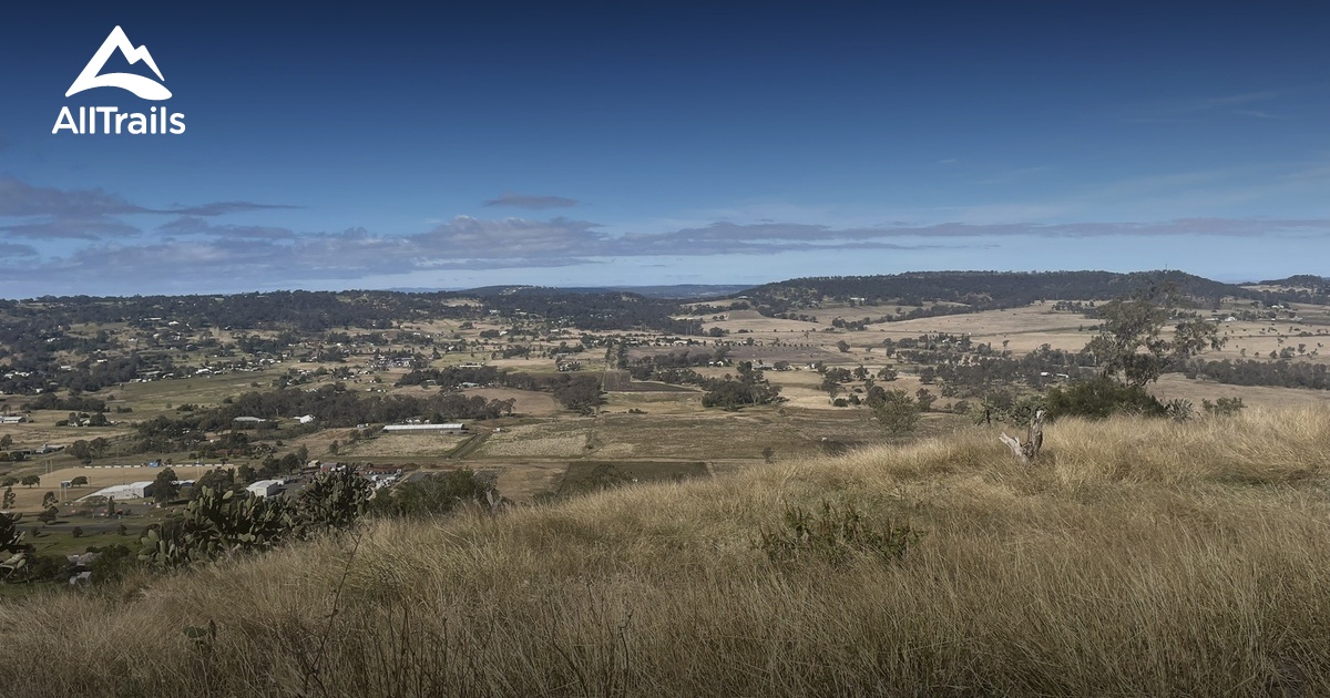 Mt Peel North - hikes and trails to get you there | AllTrails