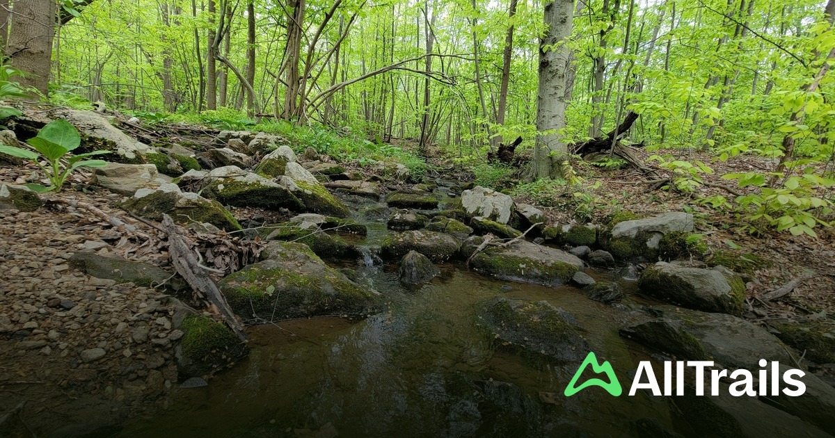 Bedste ruter i nærheden af Swayze Mine Ruins | AllTrails