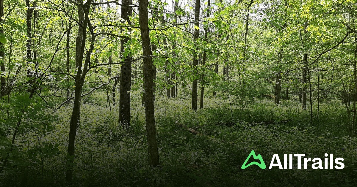 As melhores trilhas perto de Hickory Ridge Horse Camp | AllTrails