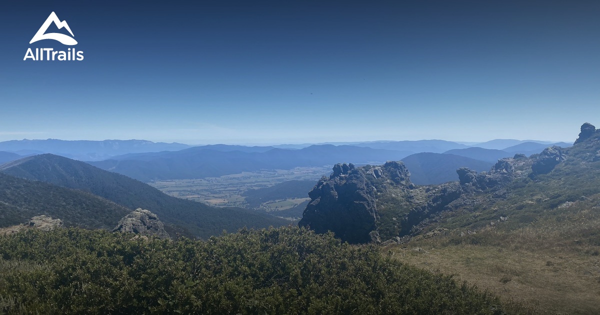 Mount Bogong - hikes and trails to get you there | AllTrails