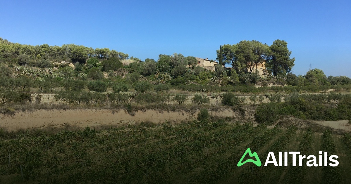Best trails near Barraca del Punt del Mitjotes 3 - 8996 | AllTrails