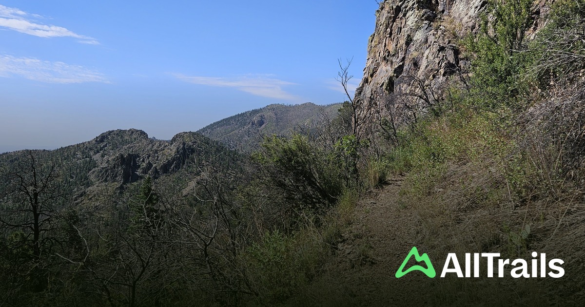 Best trails near San Mateo Spring | AllTrails
