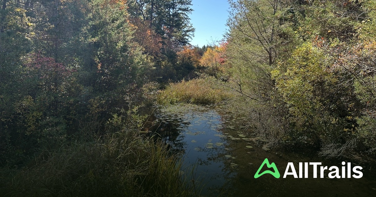 Sweezy Pond - hikes and trails to get you there | AllTrails