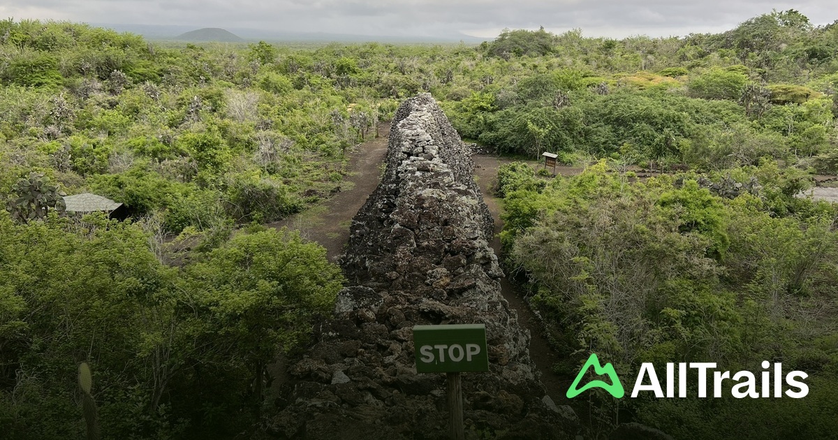 Mirador Cerro Orchilla - hikes and trails to get you there | AllTrails