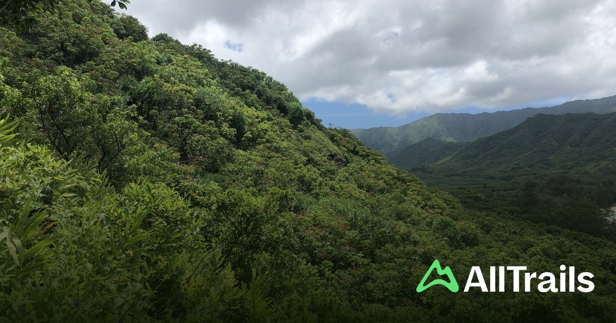 Turtle Bay - hikes and trails to get you there | AllTrails