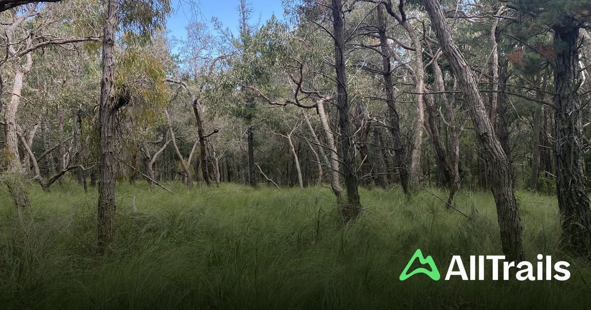 Cardinia Reservoir Dam Wall - hikes and trails to get you there | AllTrails
