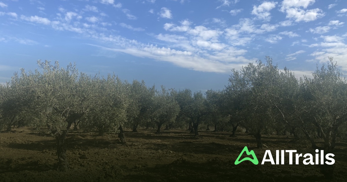 Cattedrale di San Gerlando - hikes and trails to get you there | AllTrails