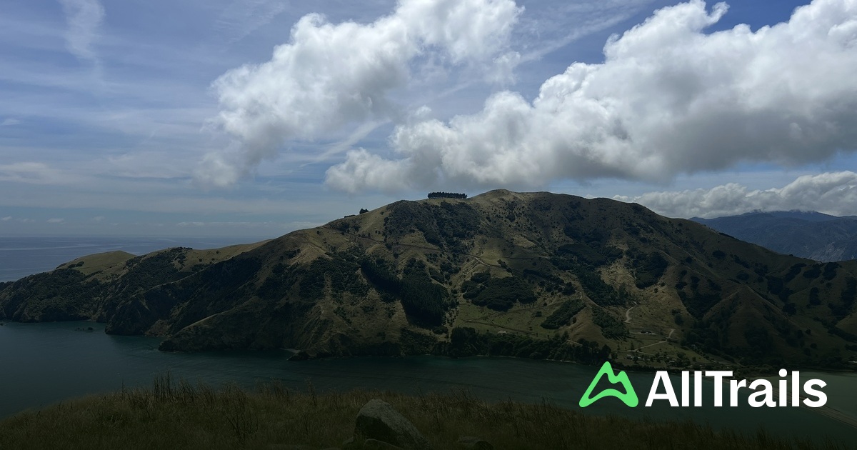 Cable Bay - hikes and trails to get you there | AllTrails