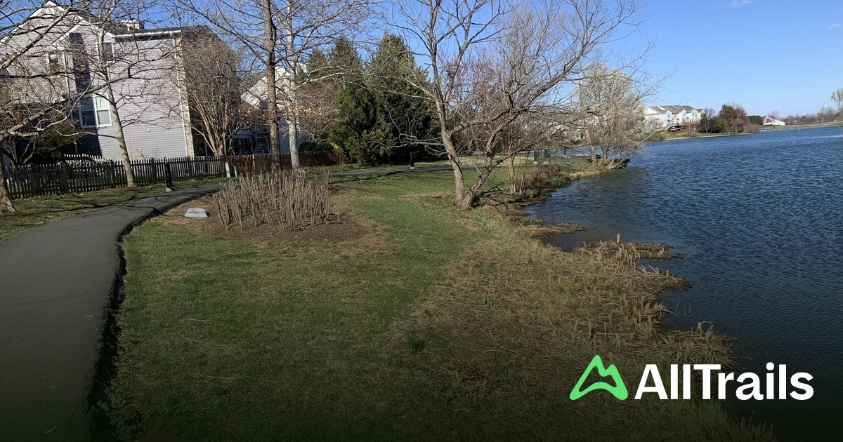 Pavillion Lake – najlepsze szlaki w pobliżu | AllTrails