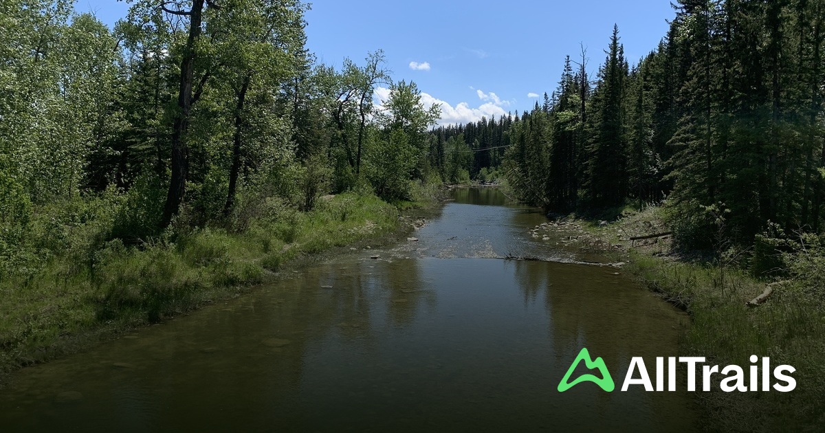 Stormwater Overflow Pond - hikes and trails to get you there | AllTrails