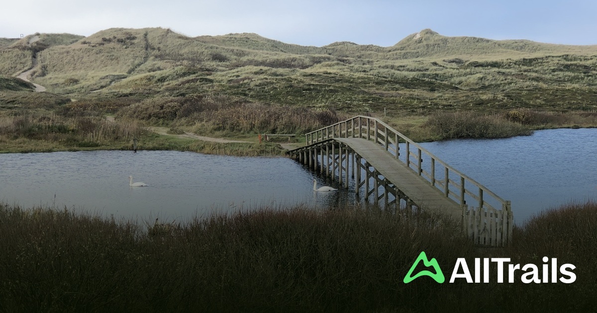 Houstrup Strand - hikes and trails to get you there | AllTrails