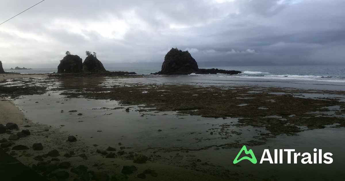 Baler Hanging Bridge - hikes and trails to get you there | AllTrails