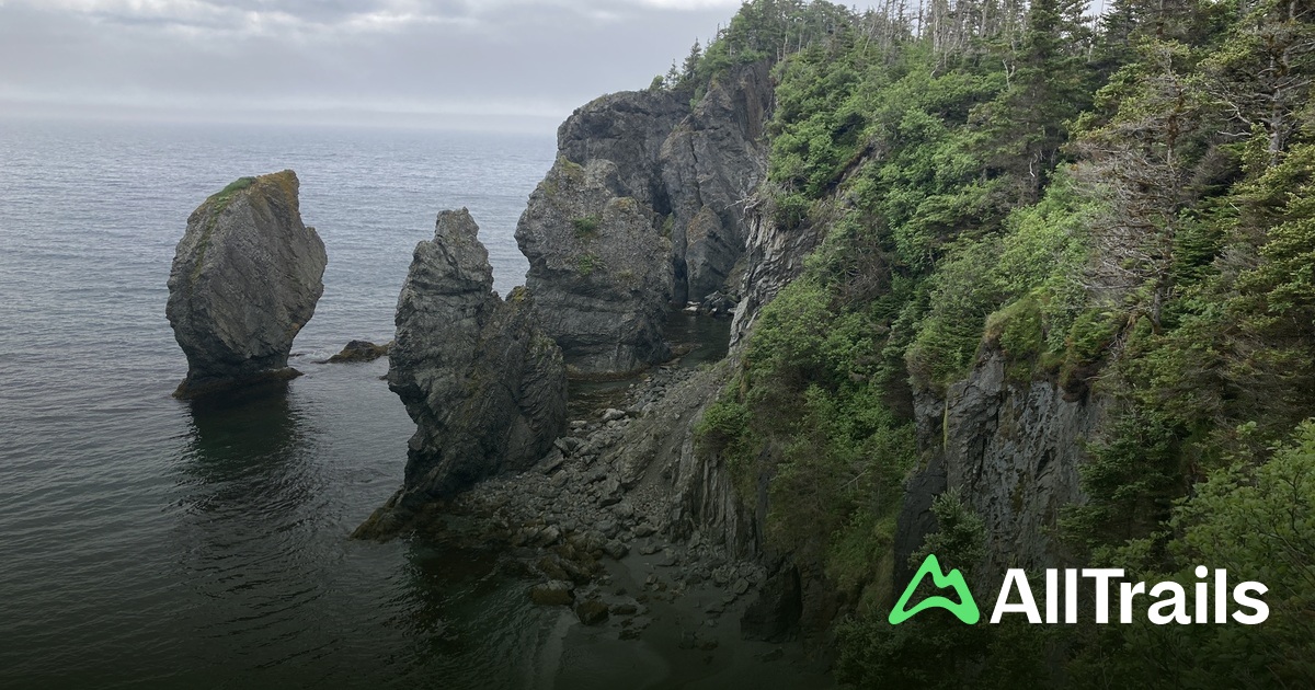 Dog Cove - hikes and trails to get you there | AllTrails