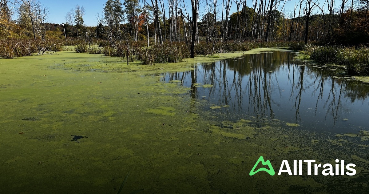 Vassar College Community Gardens : les meilleures randonnées | AllTrails