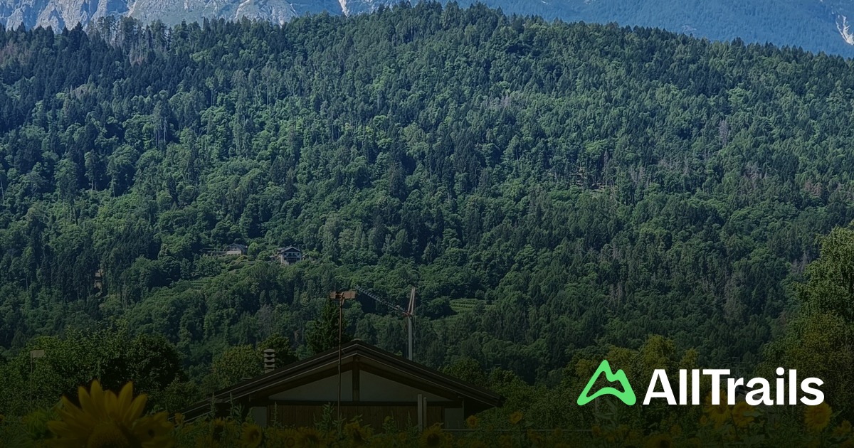 Lago Levico Camping Village: Die besten Routen in der Umgebung | AllTrails