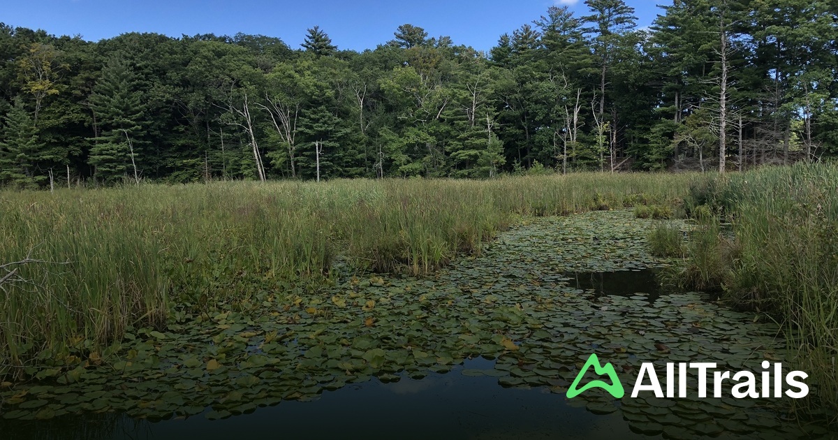 Observation Tower - hikes and trails to get you there | AllTrails