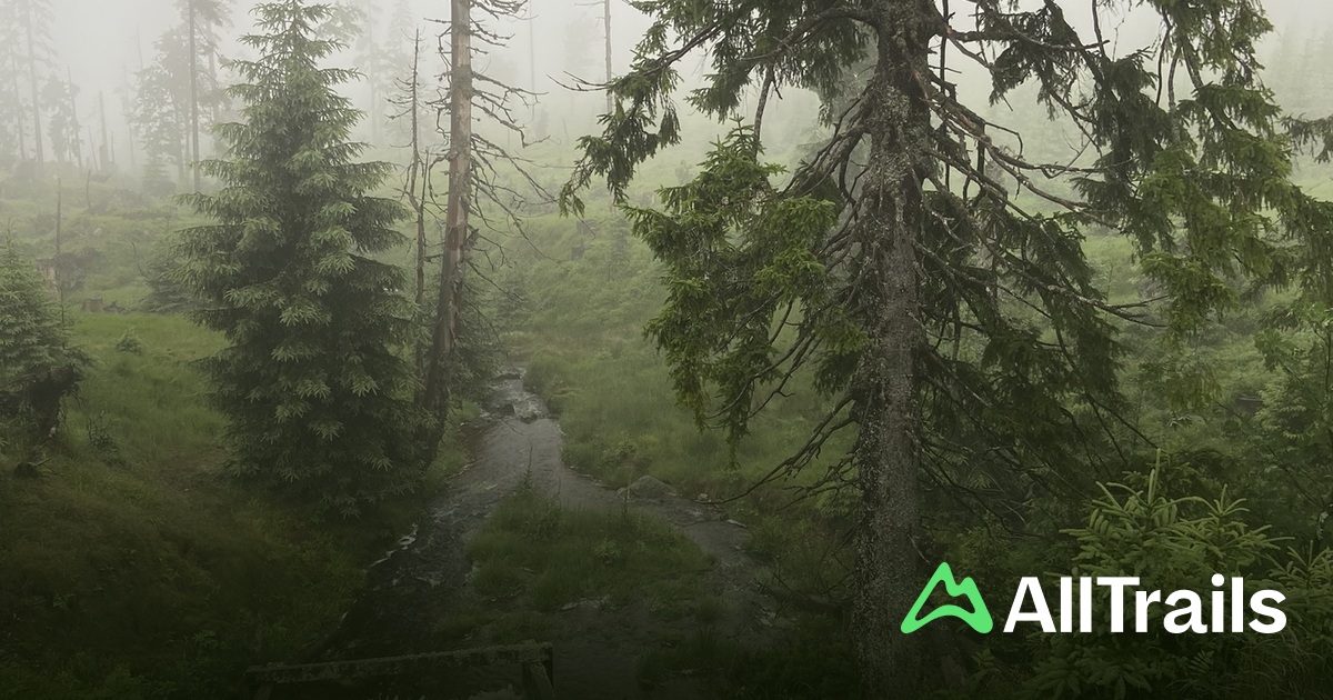 Diensthütte Lindbergschachten - hikes and trails to get you there ...