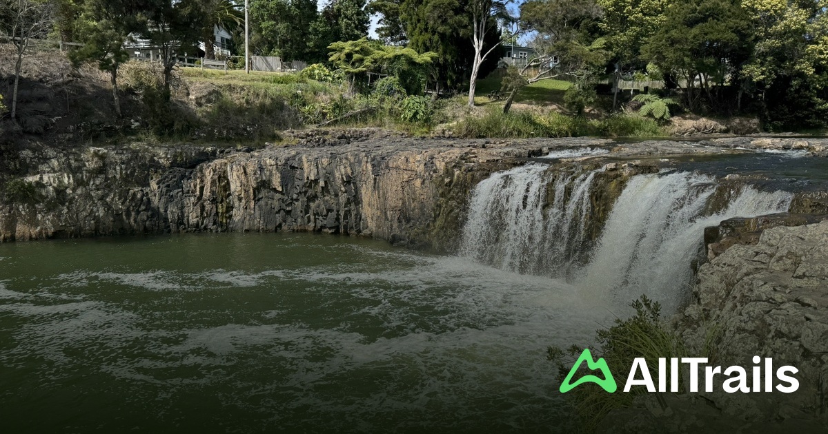 Haruru Falls Walk - hikes and trails to get you there | AllTrails