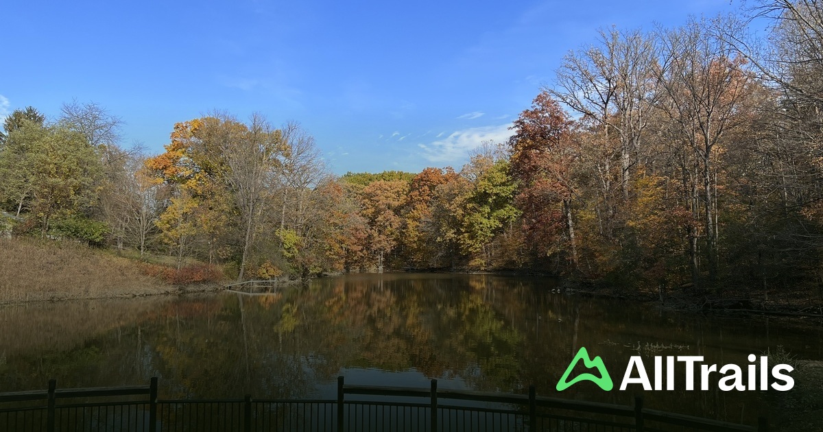 Carpenter Lake - hikes and trails to get you there | AllTrails