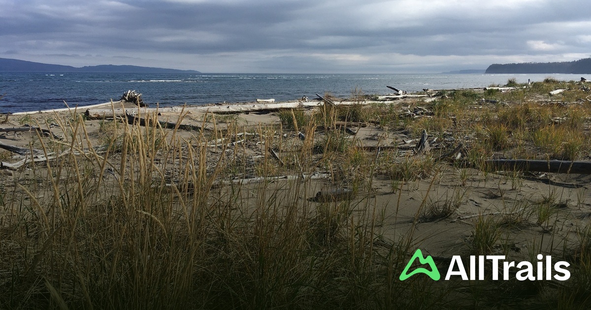 Plage de Boom défense - hikes and trails to get you there | AllTrails