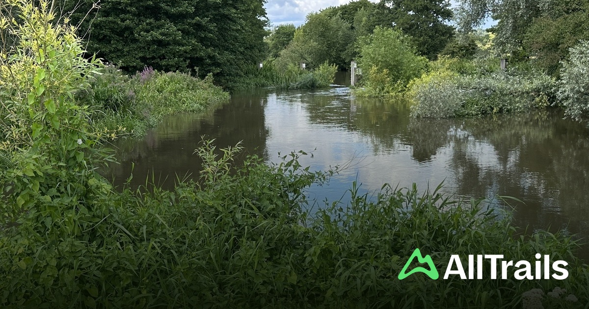 Goose Bay - hikes and trails to get you there | AllTrails