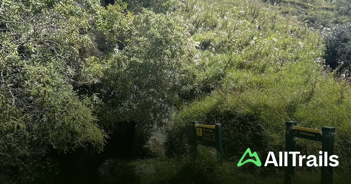 Clifden Caves - Exit - hikes and trails to get you there | AllTrails