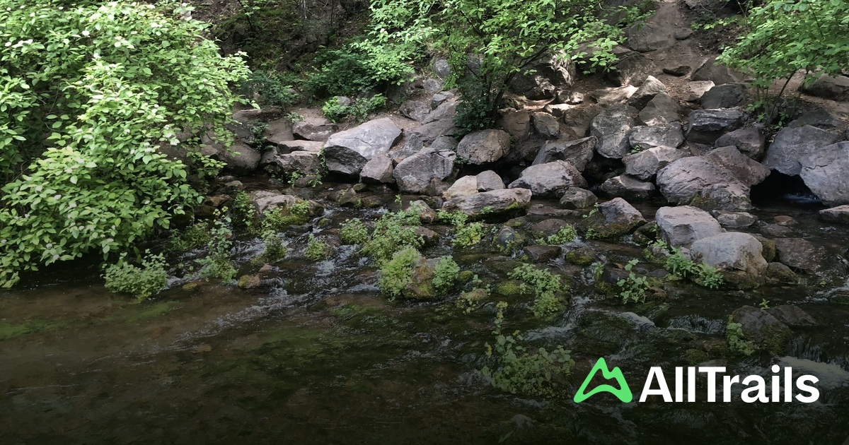 Big Springs - hikes and trails to get you there | AllTrails
