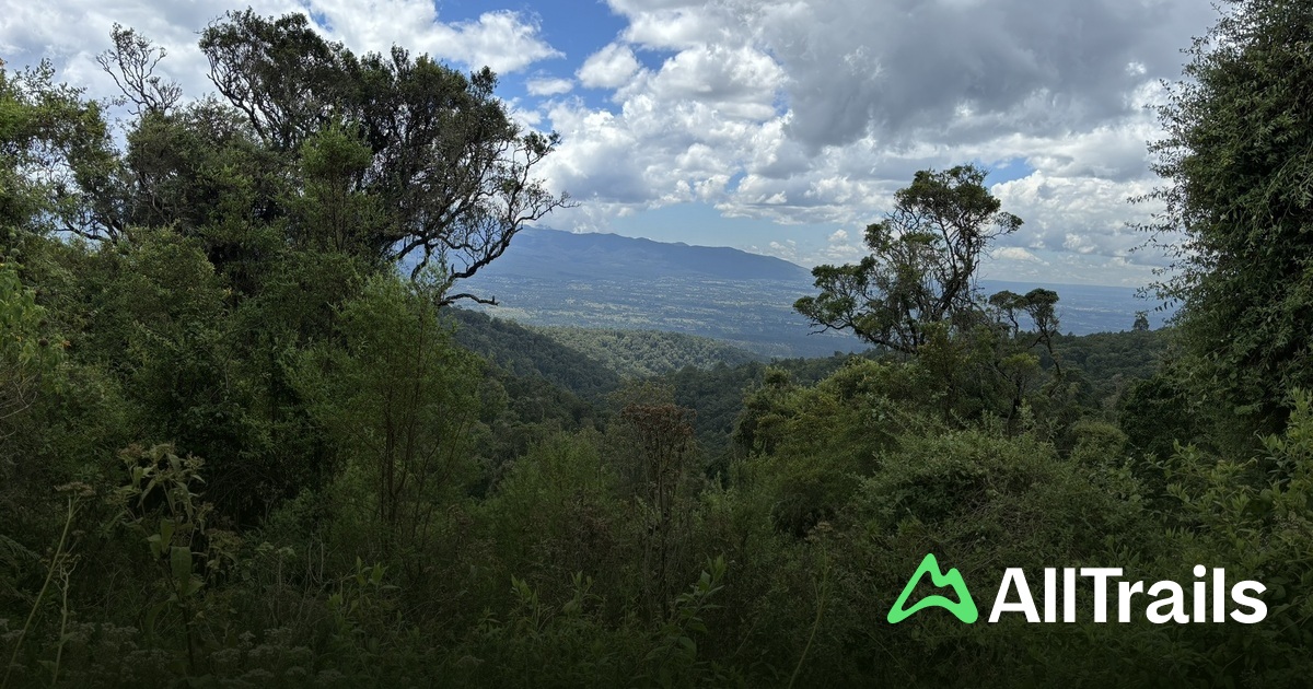 Mount Kipipiri - hikes and trails to get you there | AllTrails