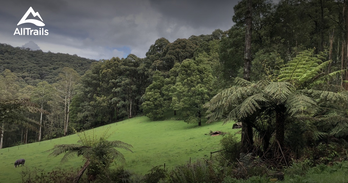 Griffith Falls - hikes and trails to get you there | AllTrails
