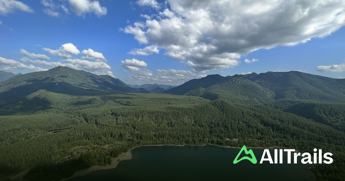 Rattlesnake Ledge - hikes and trails to get you there | AllTrails