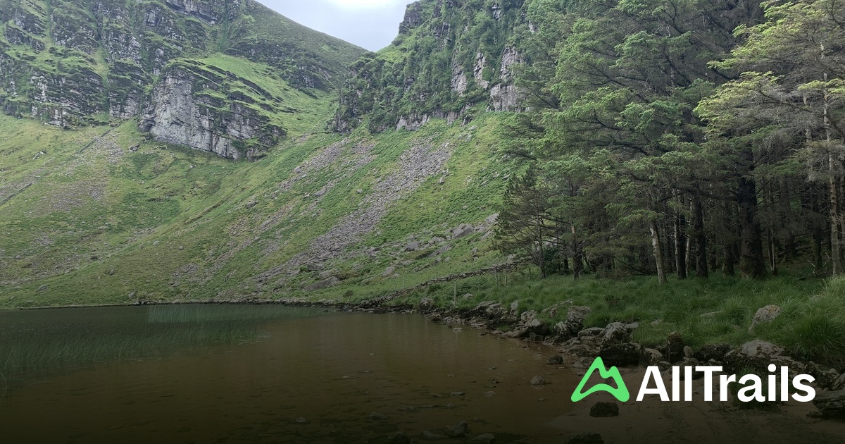 Bästa lederna nära Lough Caum | AllTrails