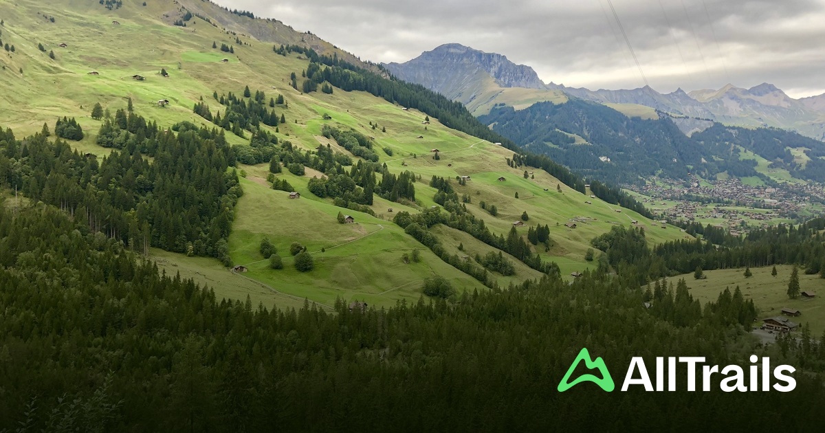 Luser: Die besten Routen in der Umgebung | AllTrails