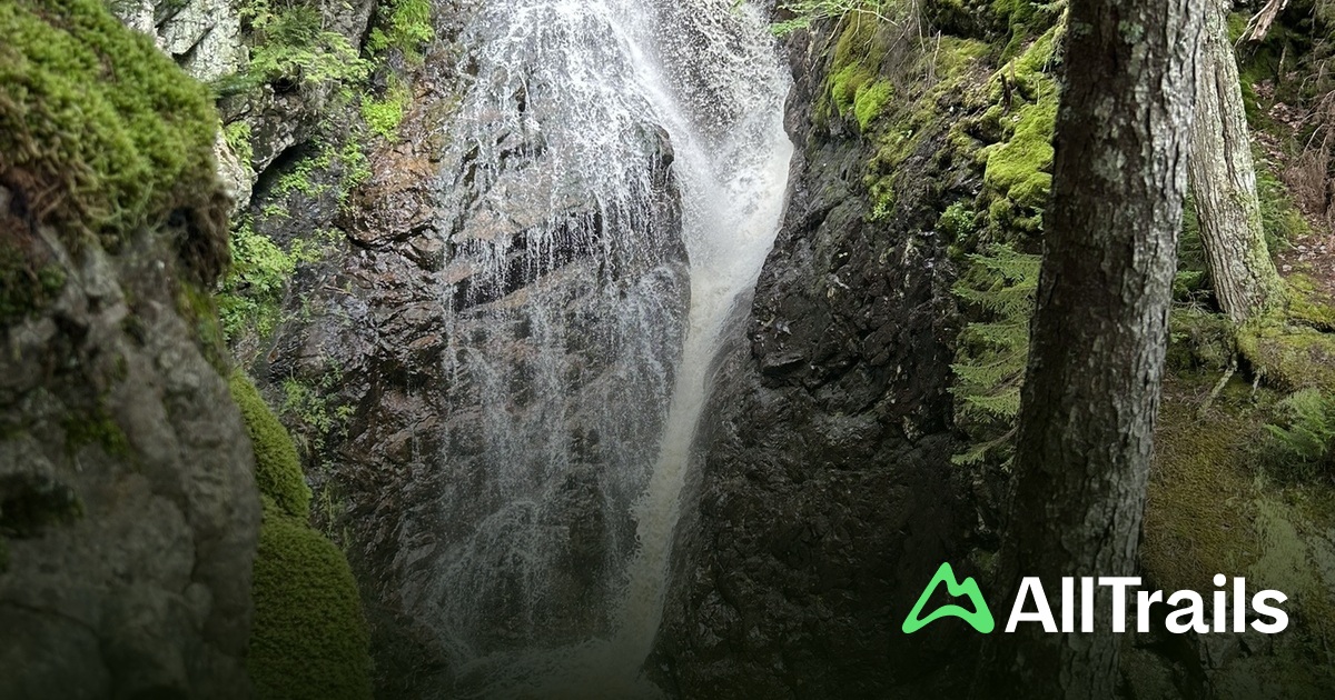 Hidden Falls - hikes and trails to get you there | AllTrails