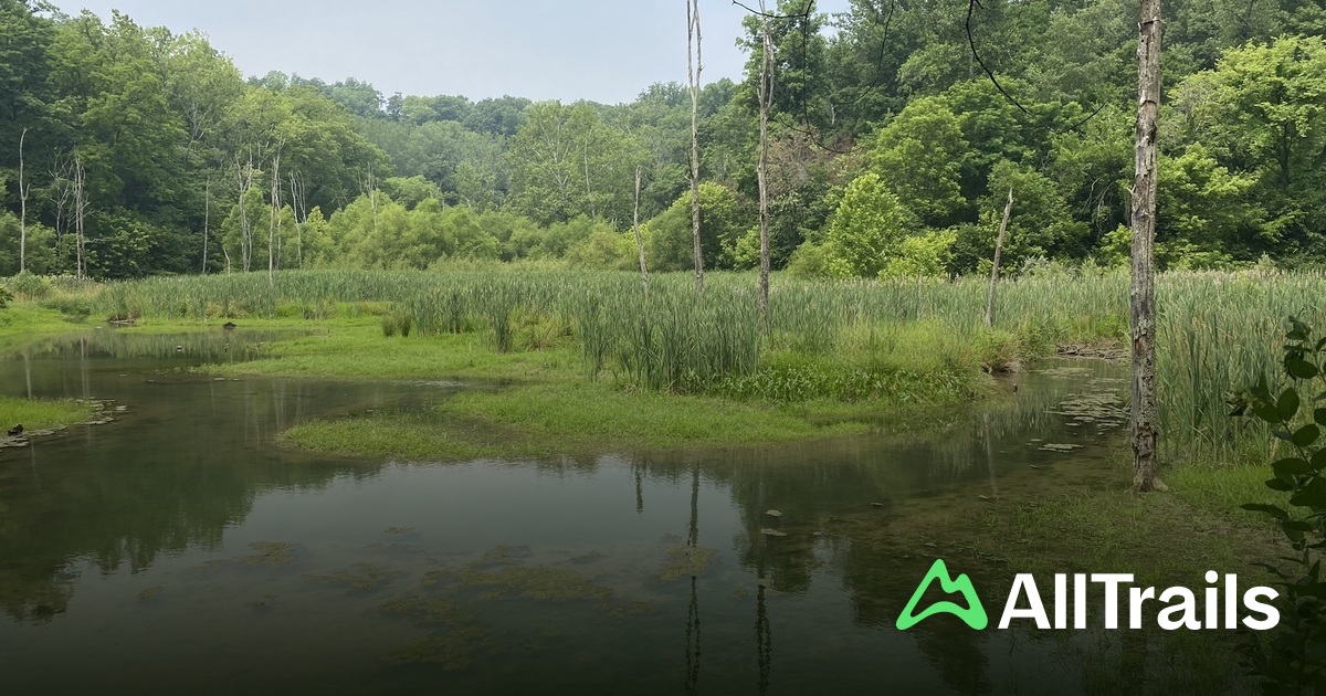 Shirley Springs Cave - hikes and trails to get you there | AllTrails